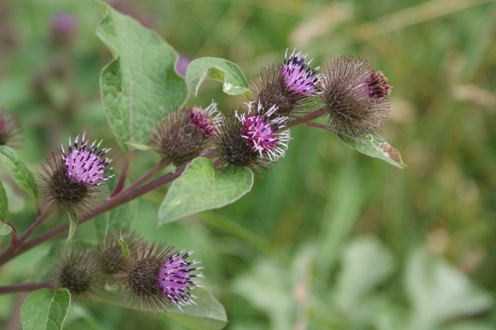 De Praktijk - Anita de Winter